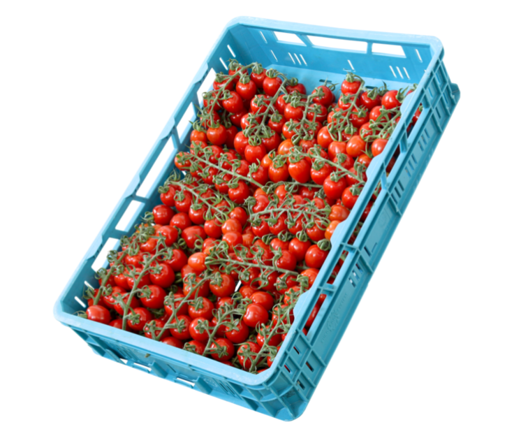 Tomaat troscherry pruim - Producten - Fresh ConneQt